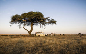 Trips - SEU Missions